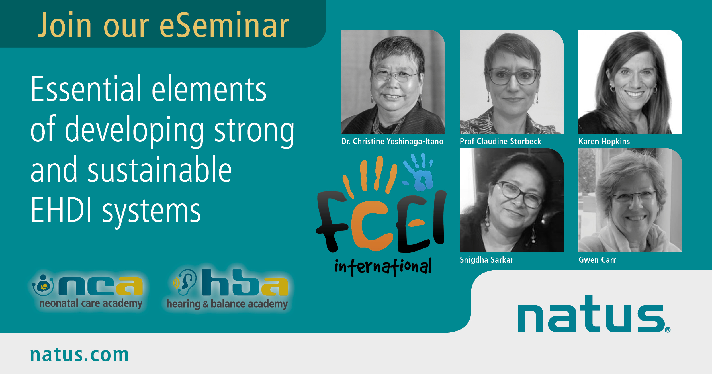 Essential elements of developing strong and sustainable EHDI systems ...
